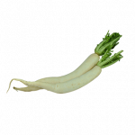 LABANOS / RADISH – SRS Sulit