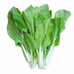 PECHAY TAGALOG – SRS Sulit