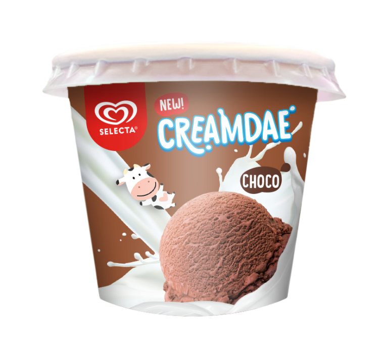 SELECTA CREAMDAE CUPS CHOCO 100ML – SRS Sulit